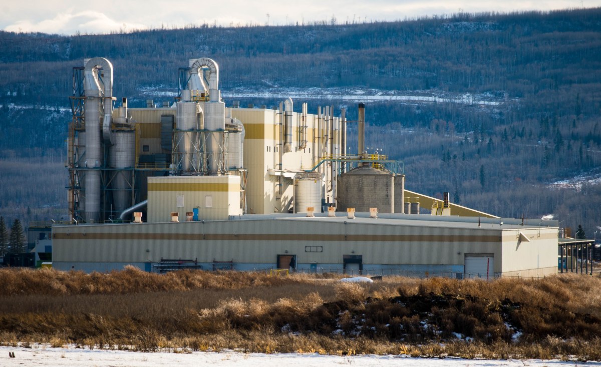 Former pulp mill site to become world-scale distribution hub – The ...